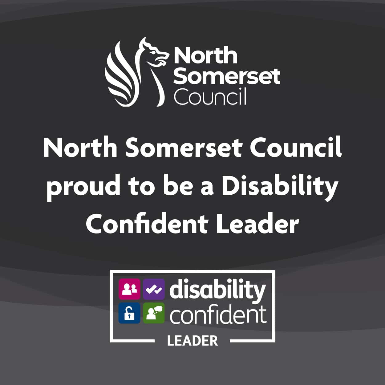 North Somerset Council - Proud to be a Disability Confident Leader | In ...